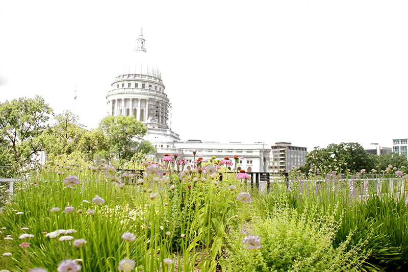 US Bank Roof Terrace – Bernau Design & Landscape Architecture